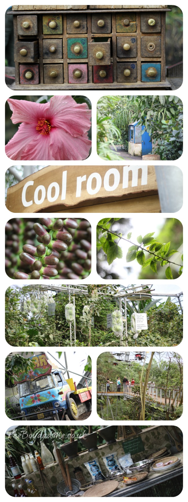 The Eden Project (Review) | TheBoyandMe